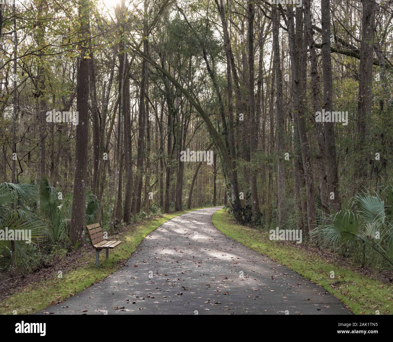 Blue Run Of Dunnellon Park. Paved scenic nature trail through woods ...