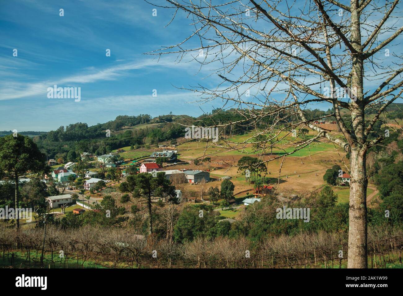 Rio grande valley colony hi-res stock photography and images - Alamy