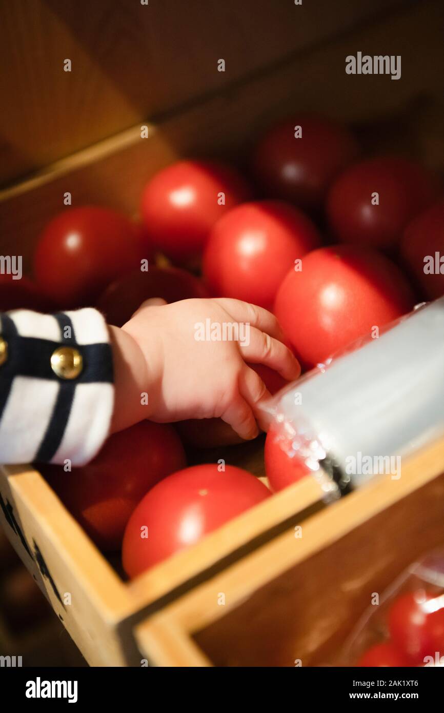 Tomato and baby's hand Stock Photo - Alamy