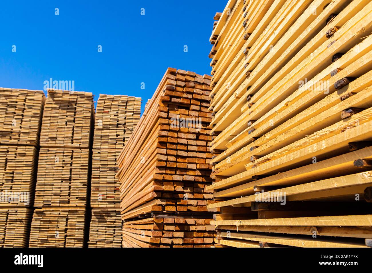 Abundant distribution hi-res stock photography and images - Alamy