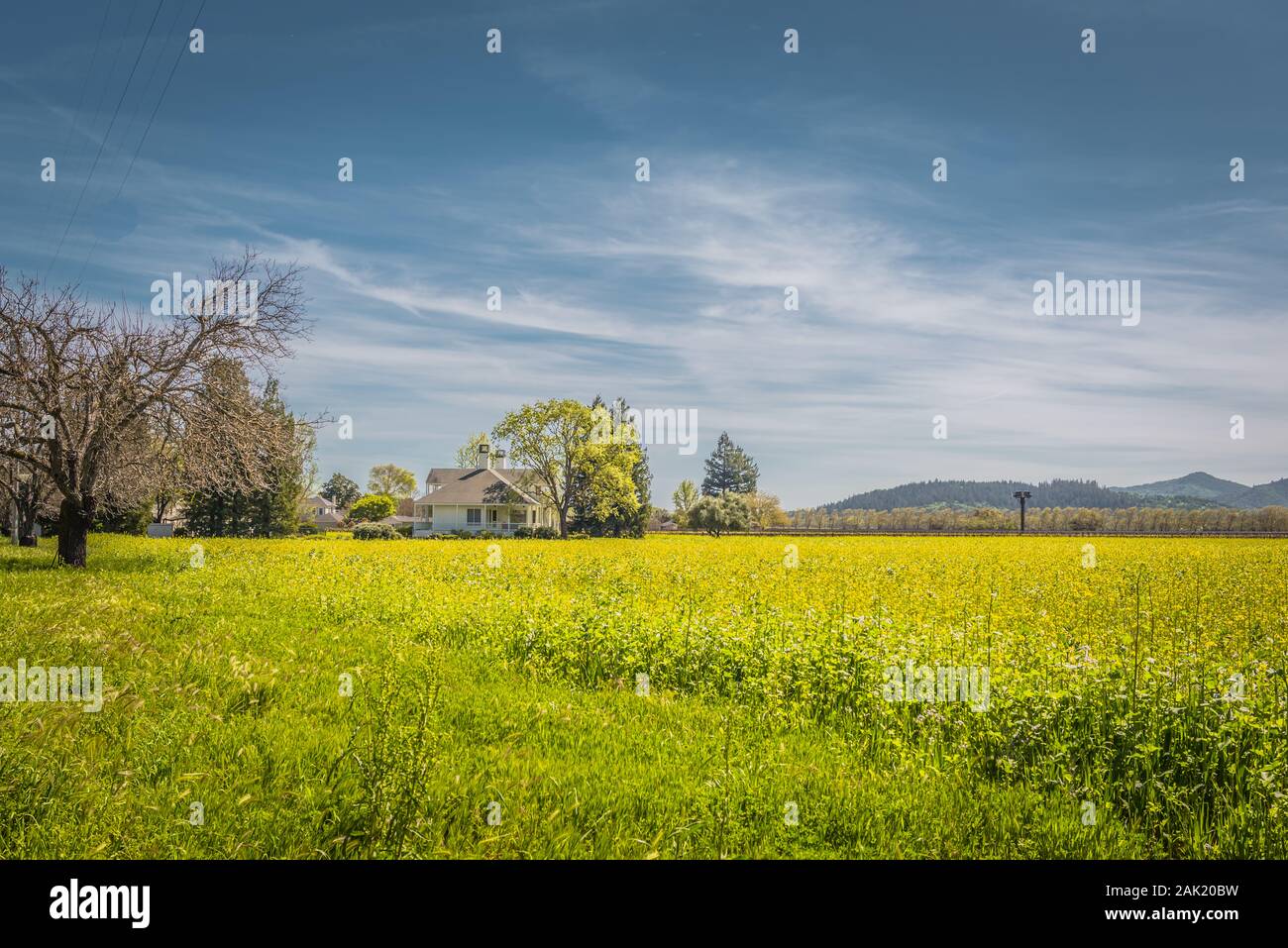 American tradicional landscape in countryside Stock Photo - Alamy