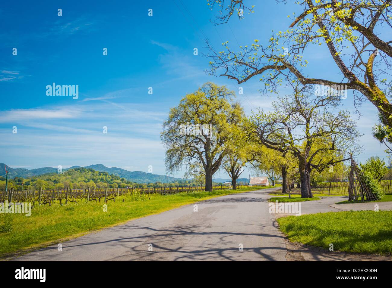 American tradicional landscape in countryside Napa Valley, Sonoma, EUA ...