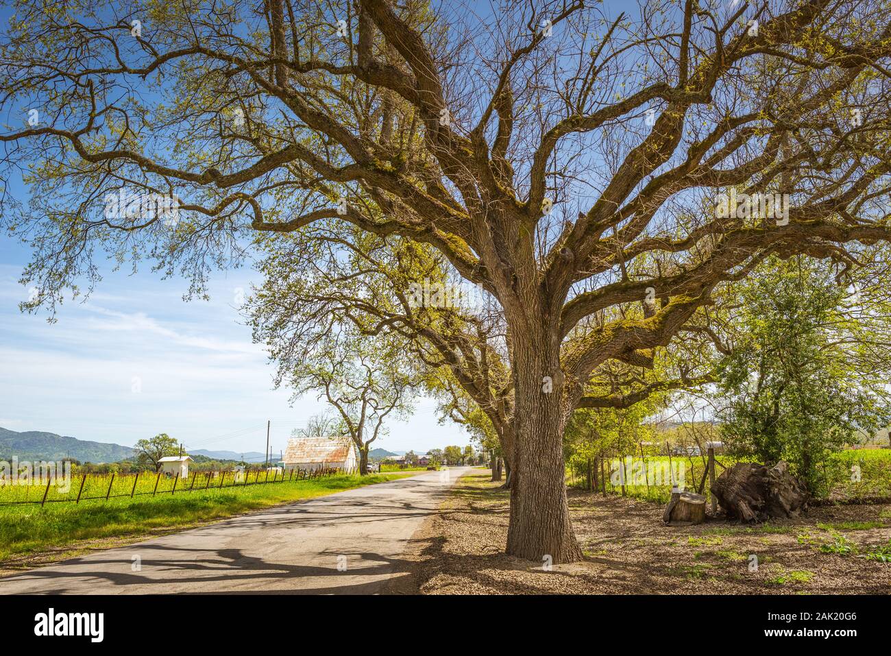American tradicional landscape in countryside Napa Valley, Sonoma, EUA ...