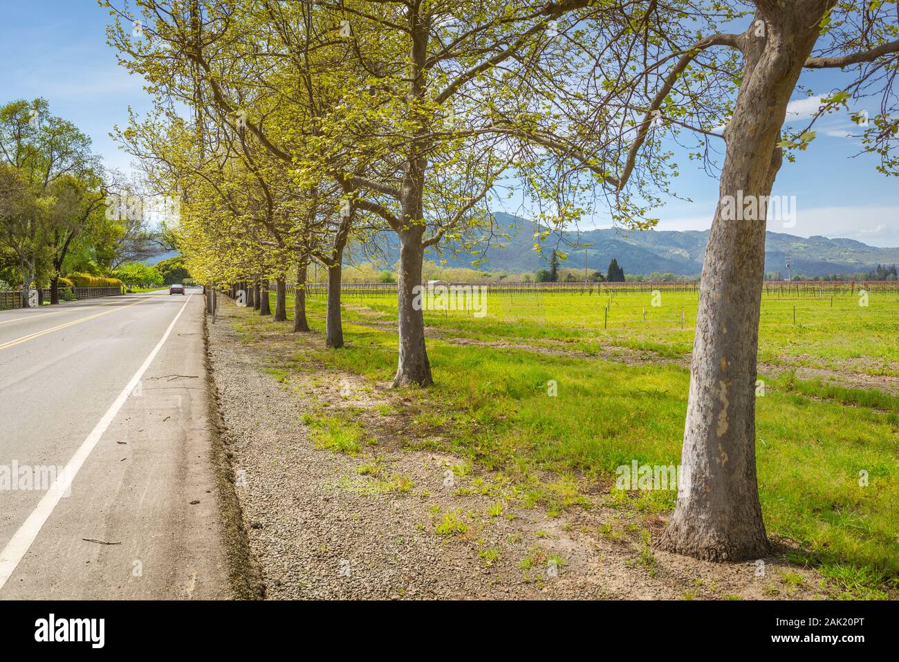American tradicional landscape in countryside Napa Valley, Sonoma, EUA ...
