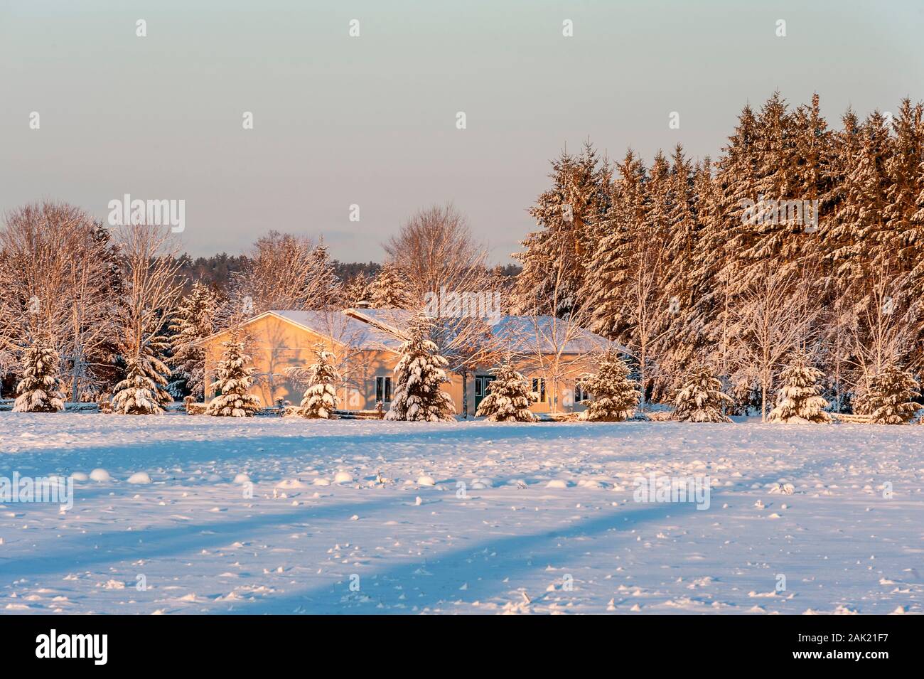 Winter on the farm Stock Photo - Alamy