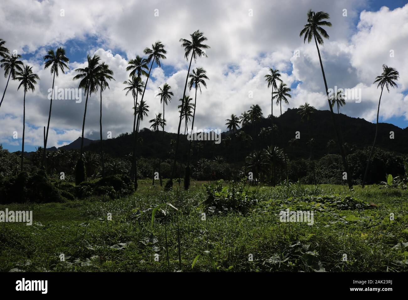 Rarotonga landscape hi-res stock photography and images - Alamy
