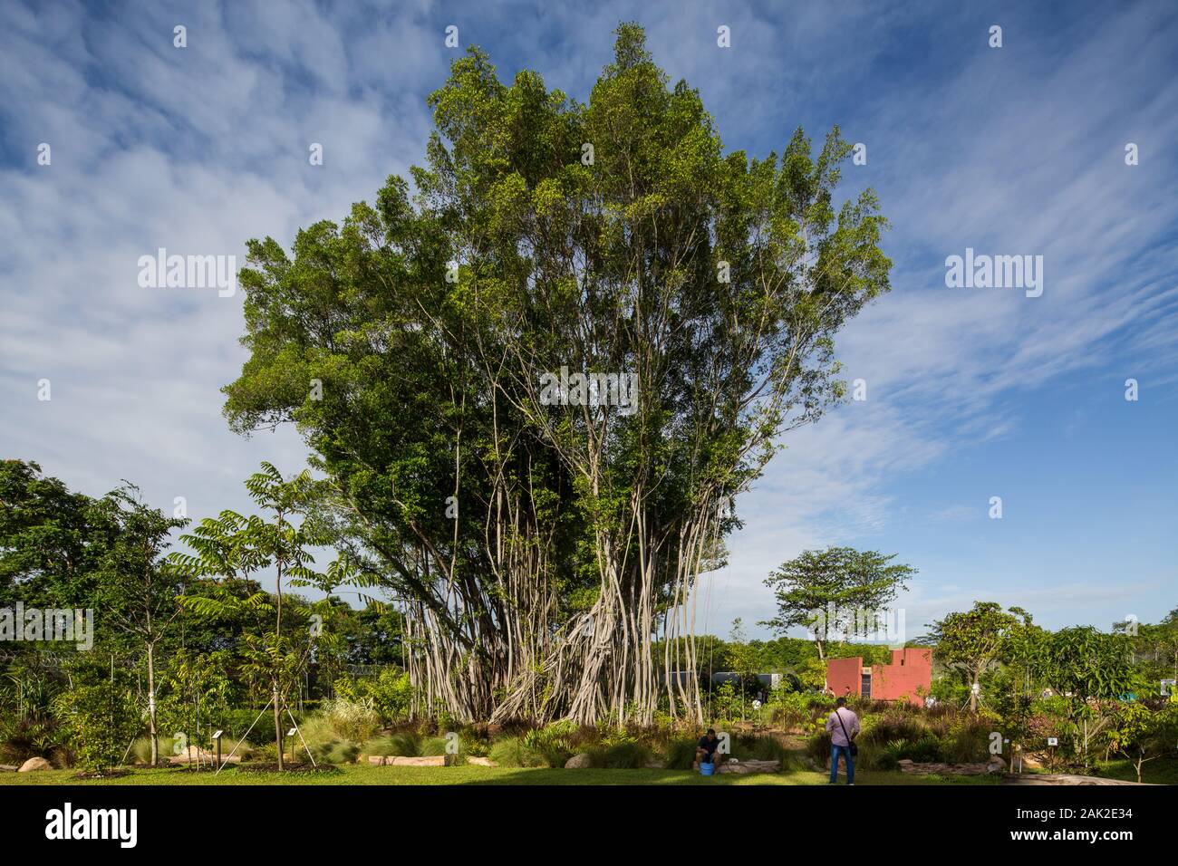 Sembawang Hot Spring Park, Singapore Stock Photo - Alamy