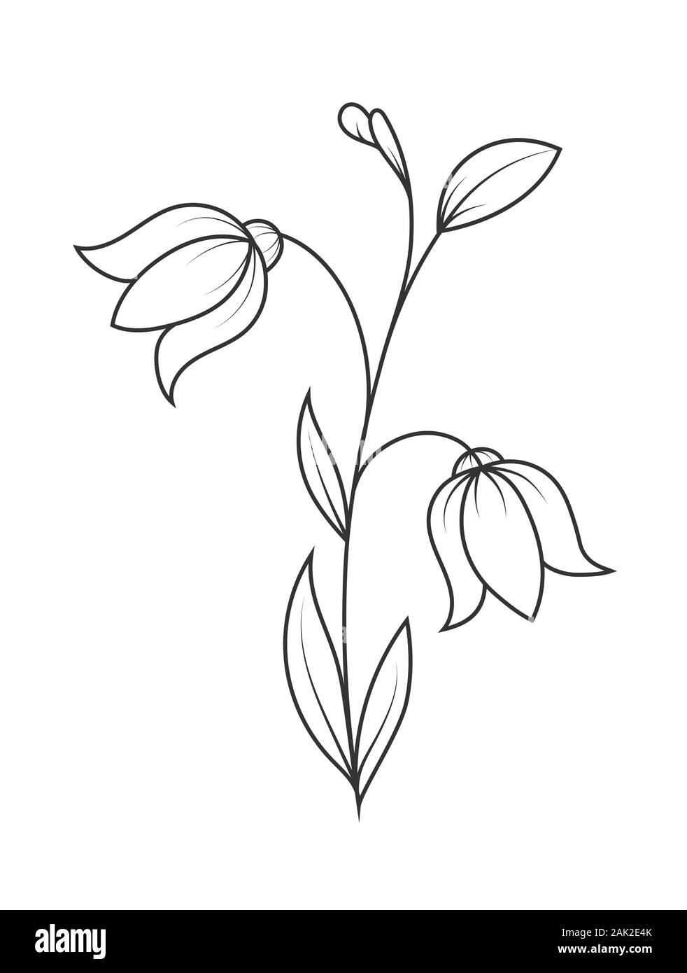 Empty outline of a flower with petals. A Doodle-style outline is ...