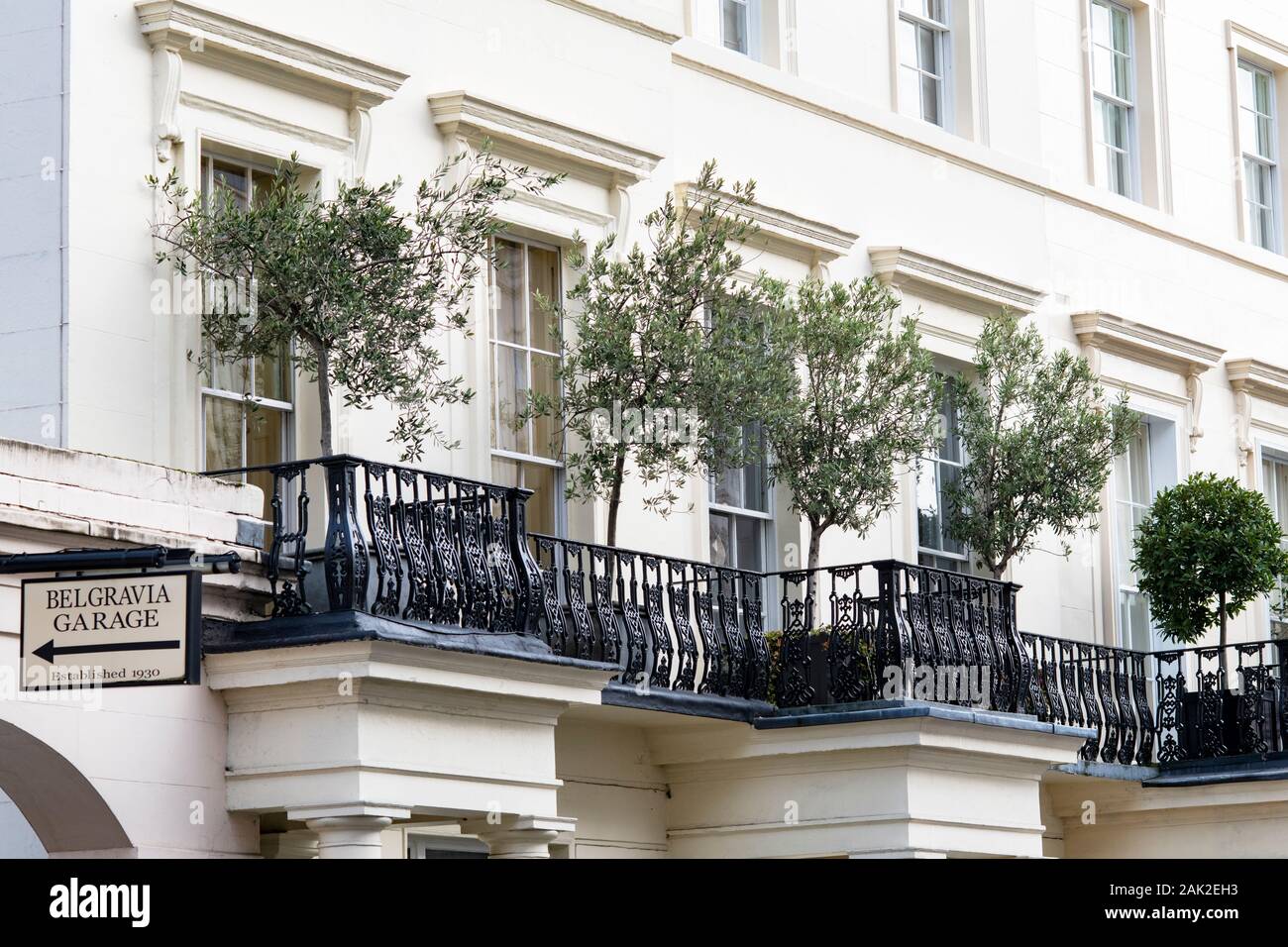 Balcony olive tree uk hi-res stock photography and images - Alamy