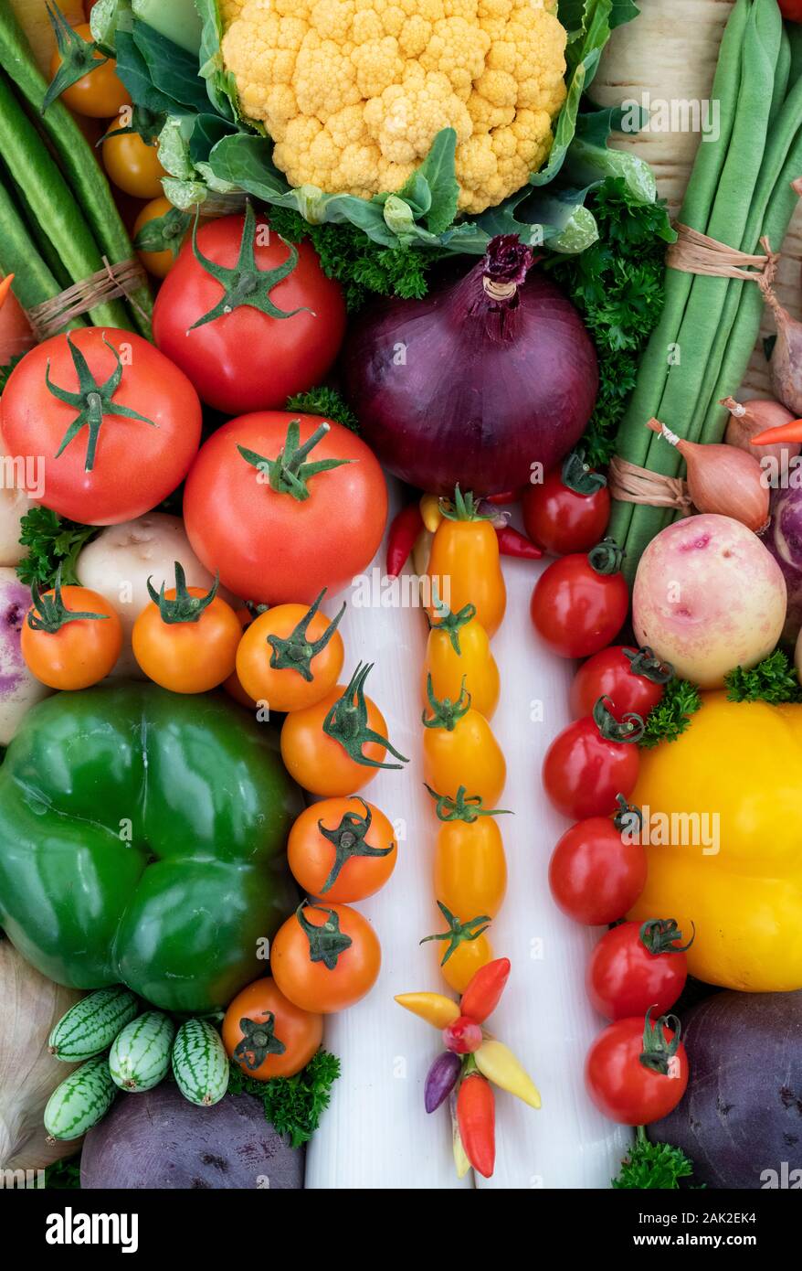 Harvest vegetables display hi-res stock photography and images - Alamy