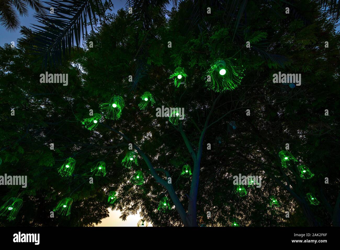 Night illumination a garden tree hi-res stock photography and images ...