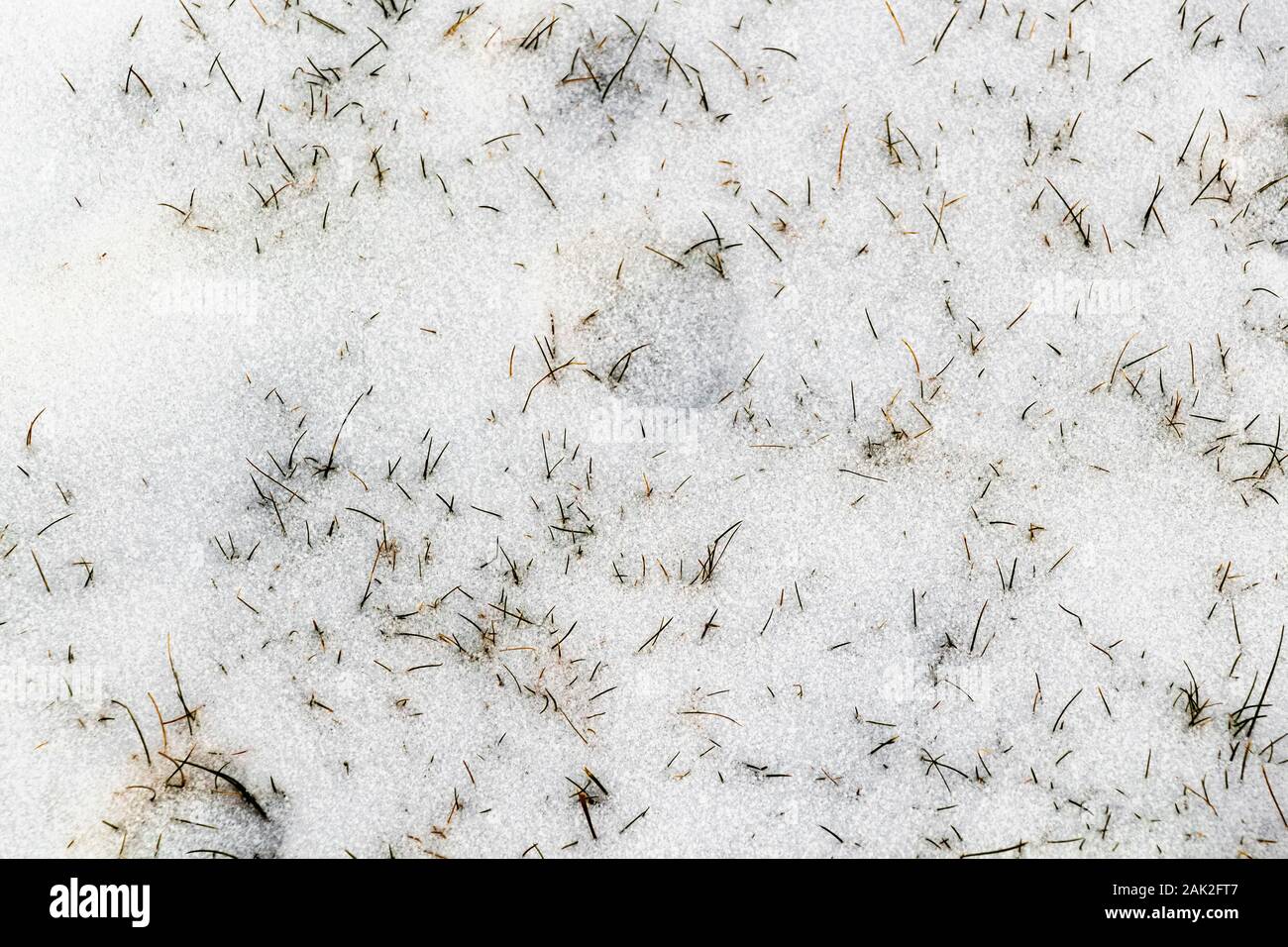 Thin layer fresh fallen hi-res stock photography and images - Alamy