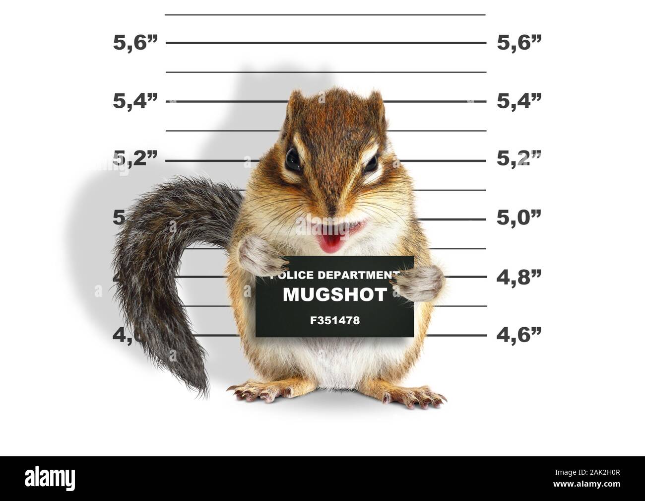 Prisoner identification hi-res stock photography and images - Alamy