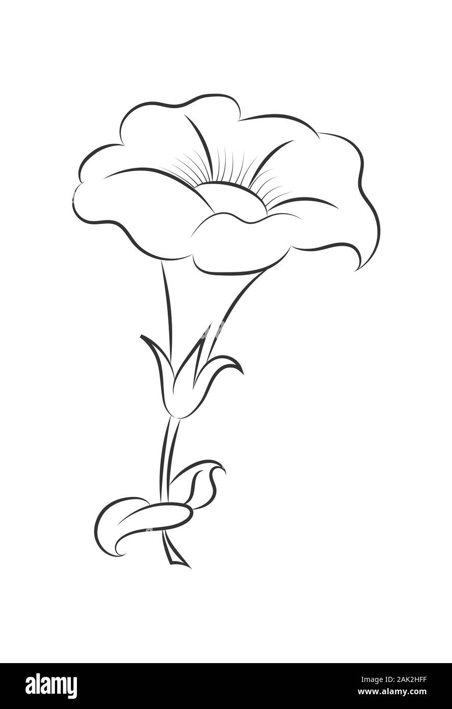 Empty outline of a flower with petals. A Doodle-style outline is ...