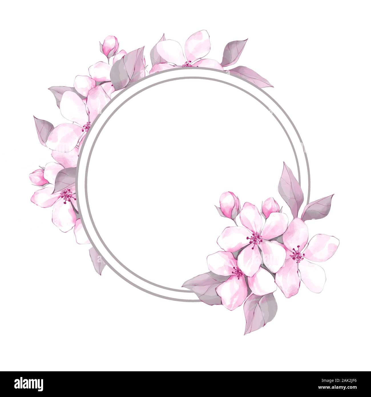 Sakura flowers round frame isolated on white Stock Photo - Alamy