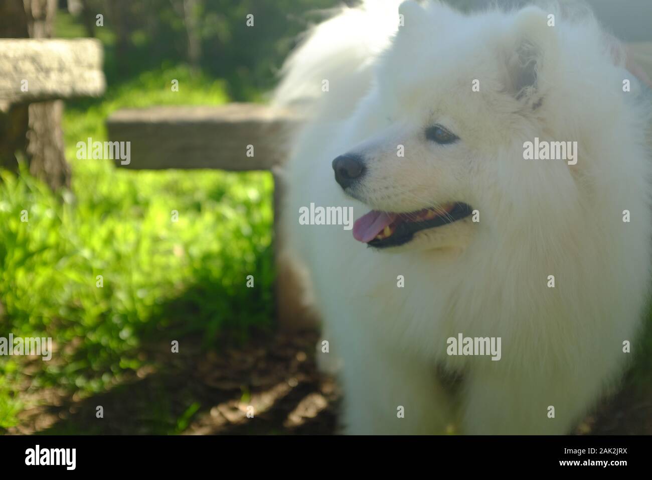 Edendale farm hi-res stock photography and images - Alamy