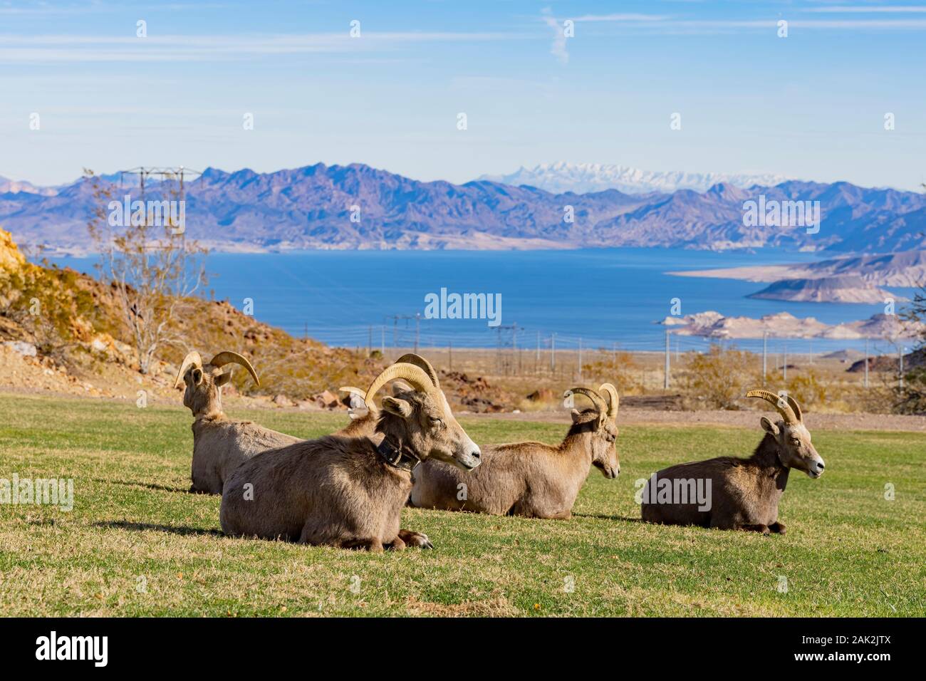 Hemenway park hi-res stock photography and images - Alamy