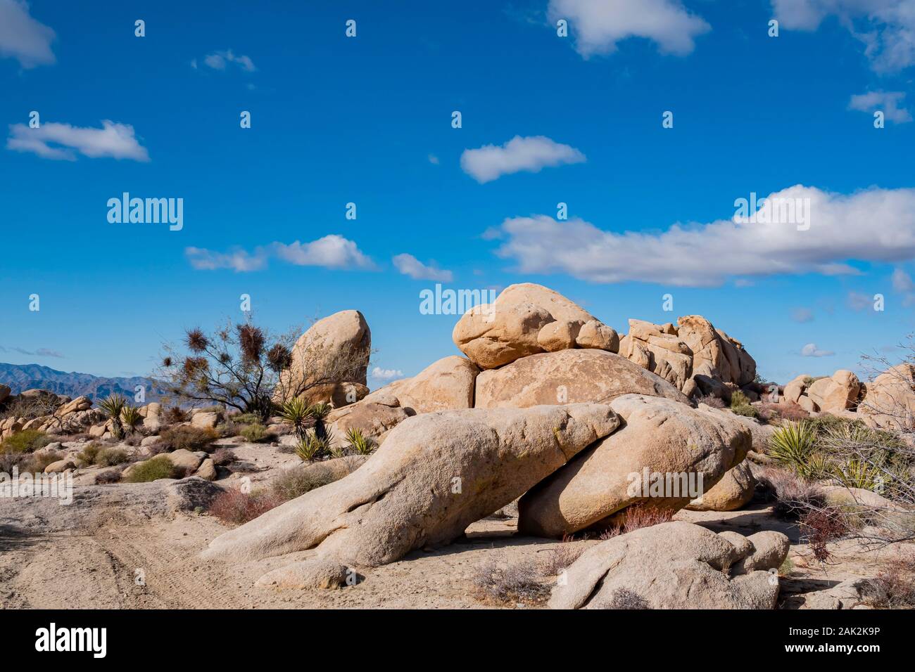 Sunny beautiful landscpe of the Knob Hill Spring at Boulder City ...