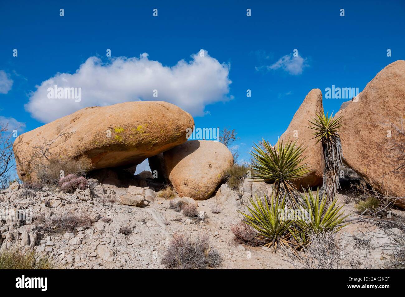 Sunny beautiful landscpe of the Knob Hill Spring at Boulder City ...