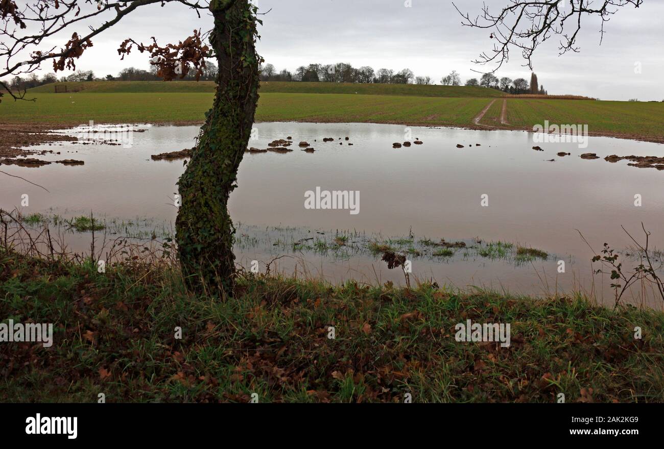 Flooded Farmland High Resolution Stock Photography and Images - Alamy