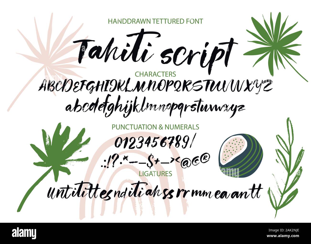 Textured calligraphy hand drawn vector alphabet. Rough grunge font ...