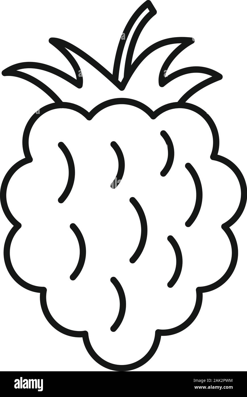 Raspberry food icon. Outline raspberry food vector icon for web design ...