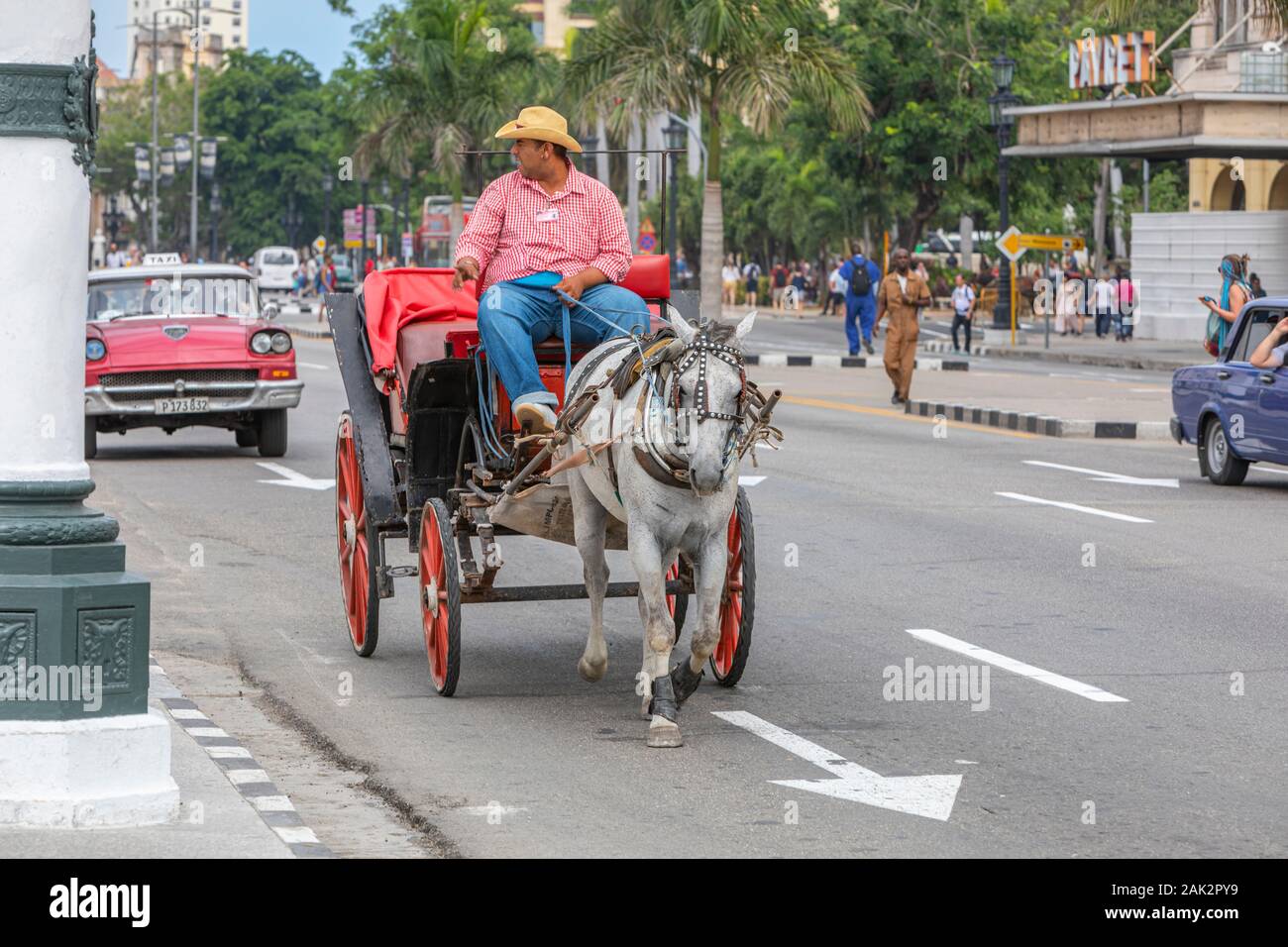 A horse drawn carriage in Central Havana, Cuba Stock Photo - Alamy
