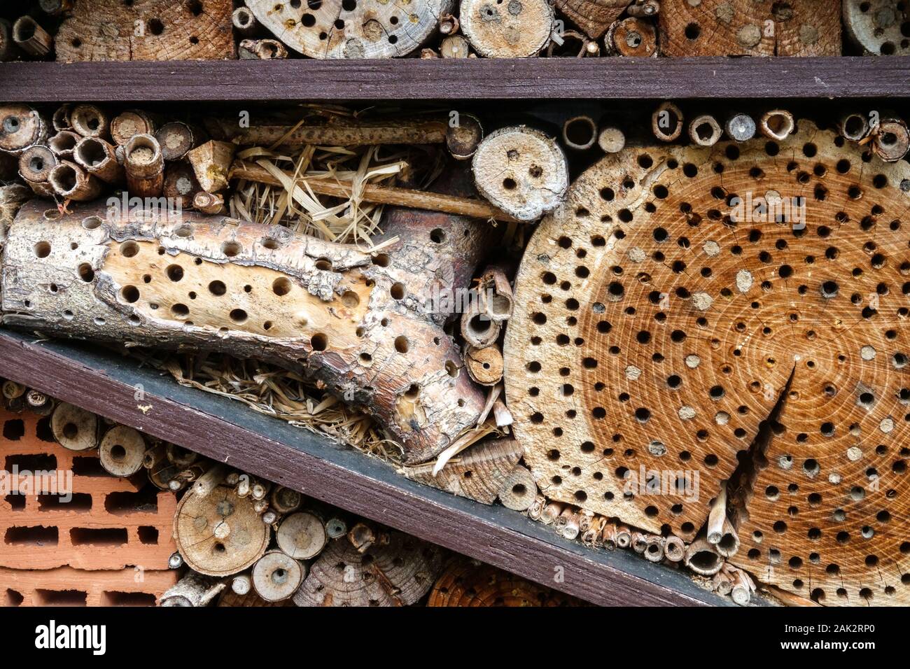 Insect hotel, structure of used materials, perforated wood for solitary ...