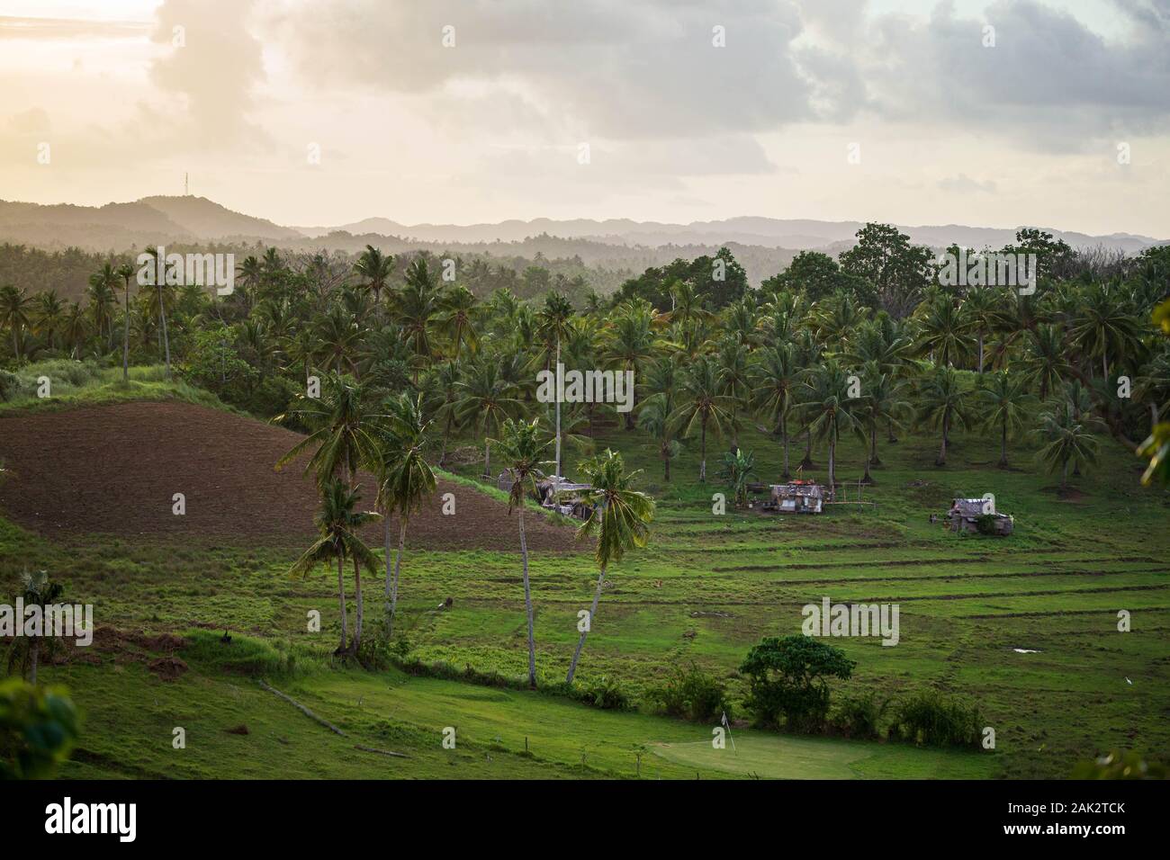 Beautiful sunset over coconut trees and rural farm on small island in ...