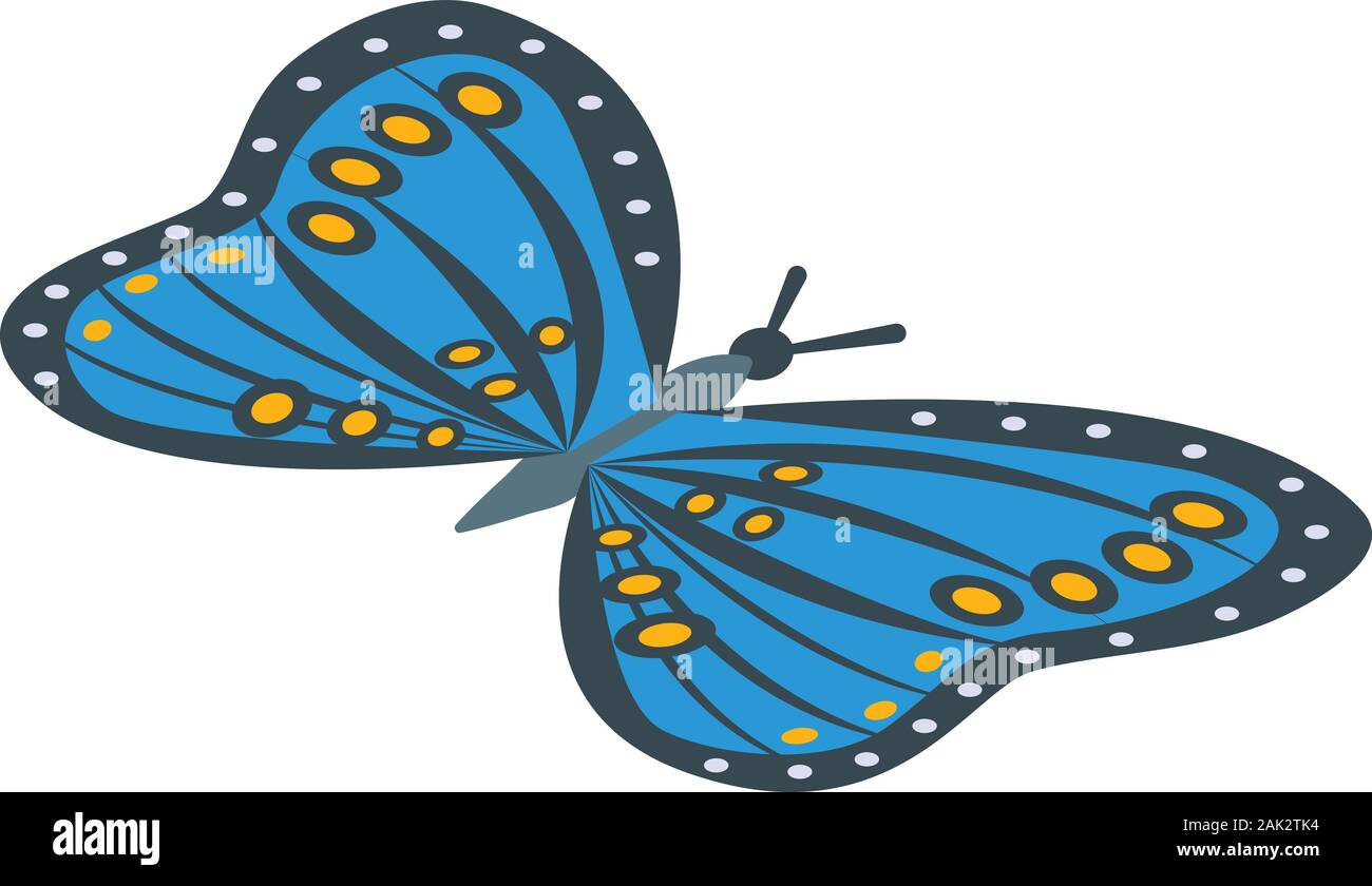 Queen blue butterfly icon, isometric style Stock Vector Image & Art - Alamy
