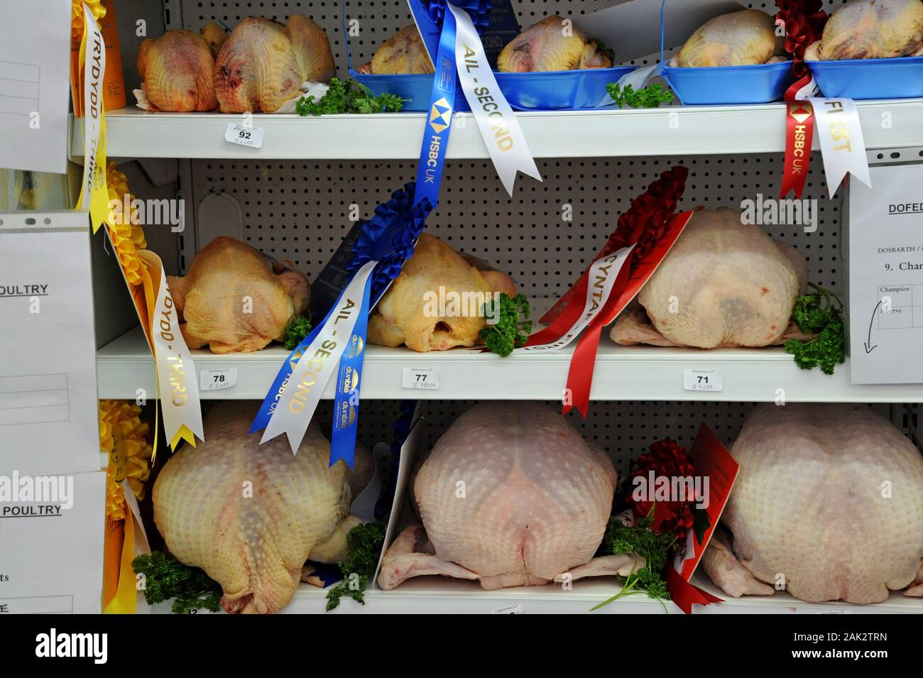 Poultry competition hi-res stock photography and images - Alamy