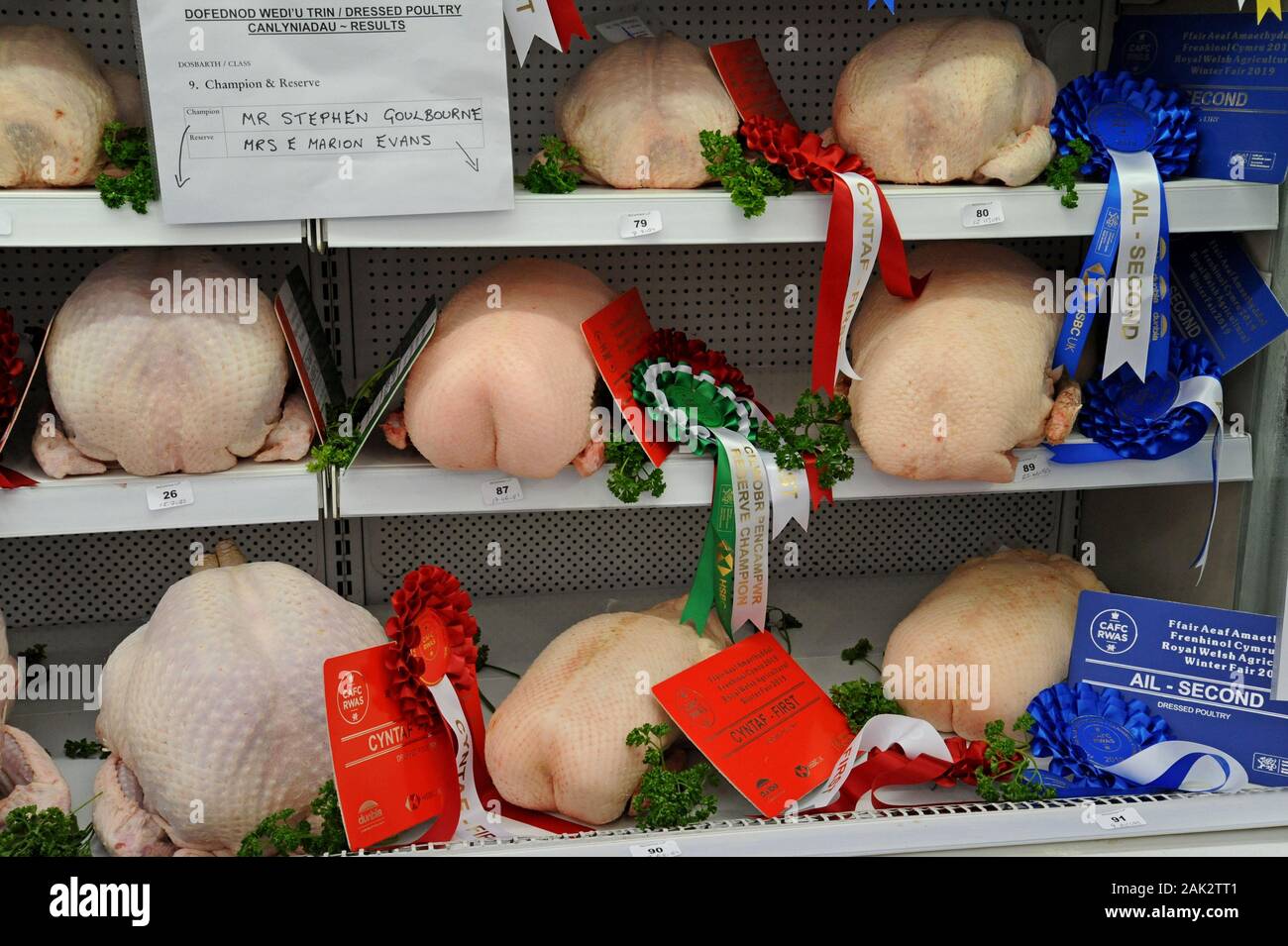 A display of prize winning dressed poultry at the Royal Welsh Winter ...