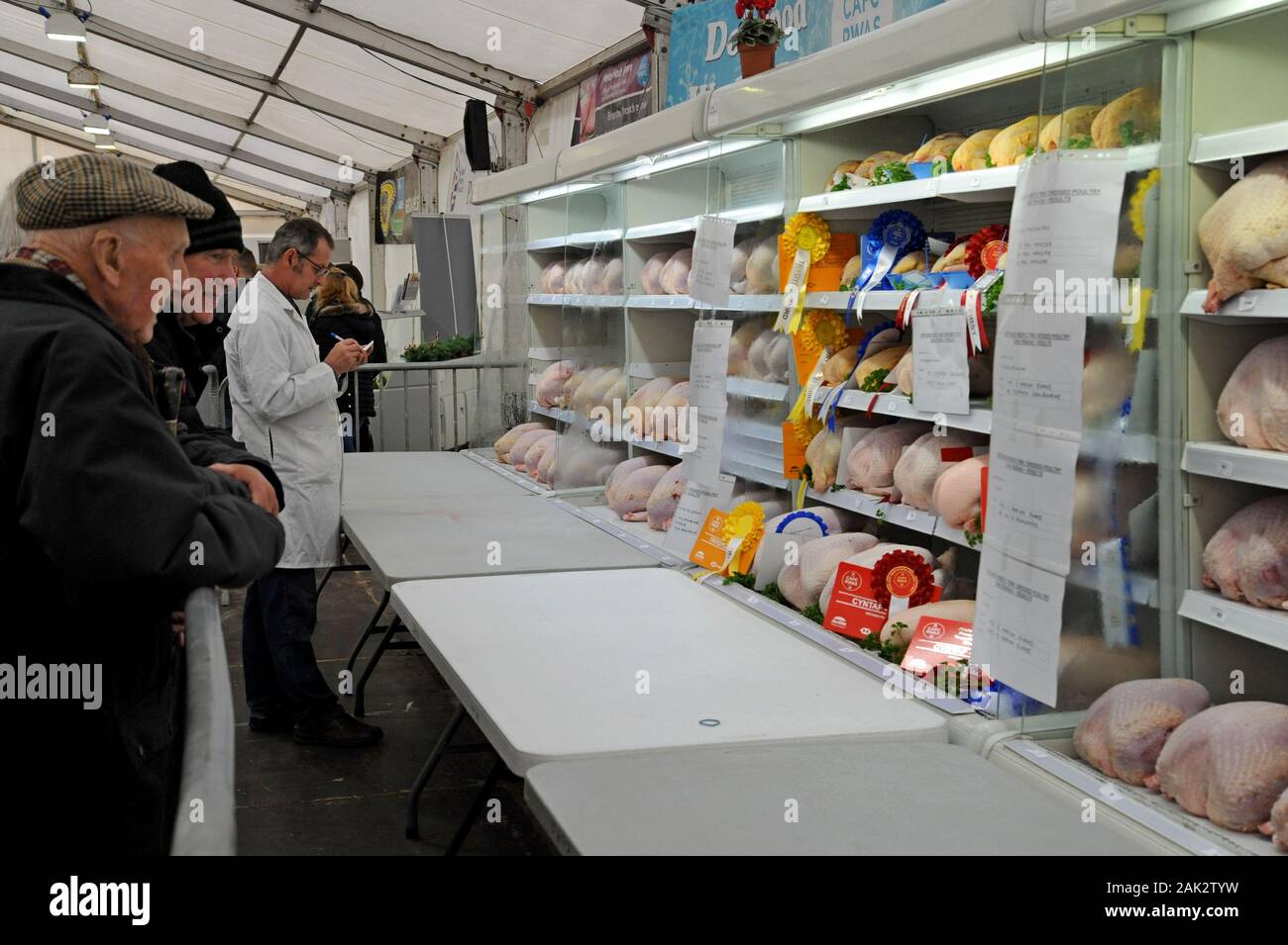 People studying the display of prize winning dressed poultry at the ...