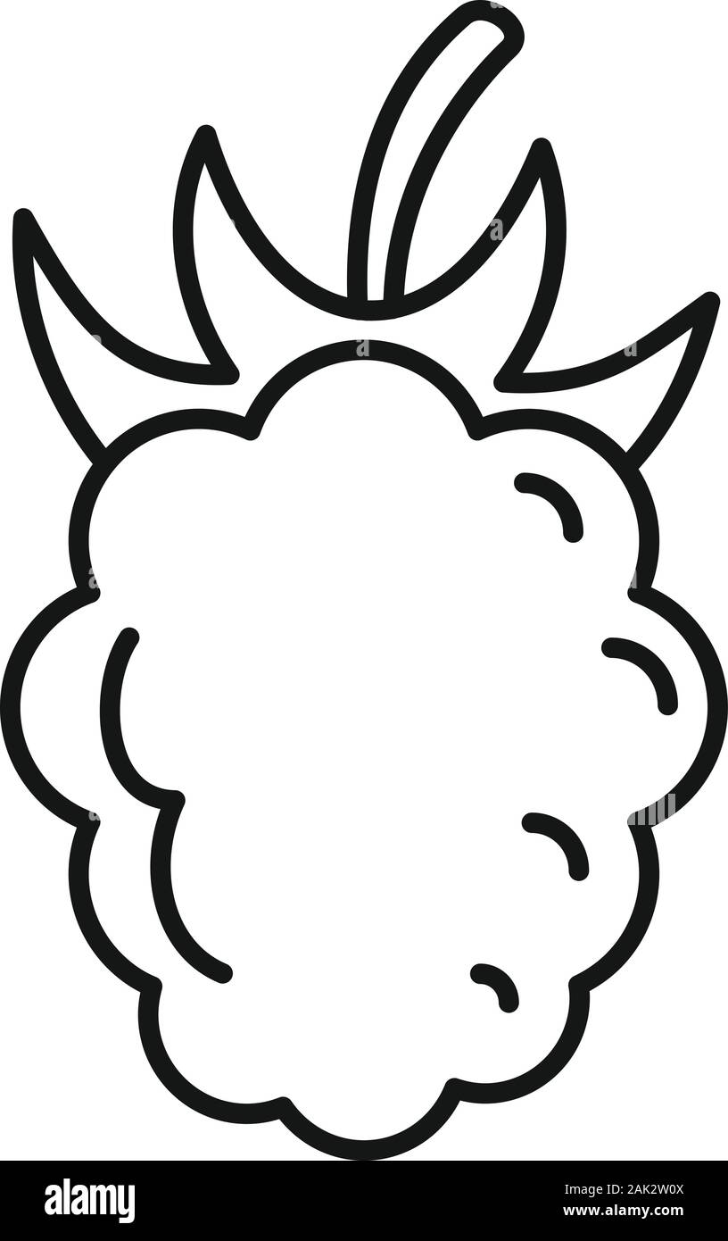 Fresh raspberry icon. Outline fresh raspberry vector icon for web ...