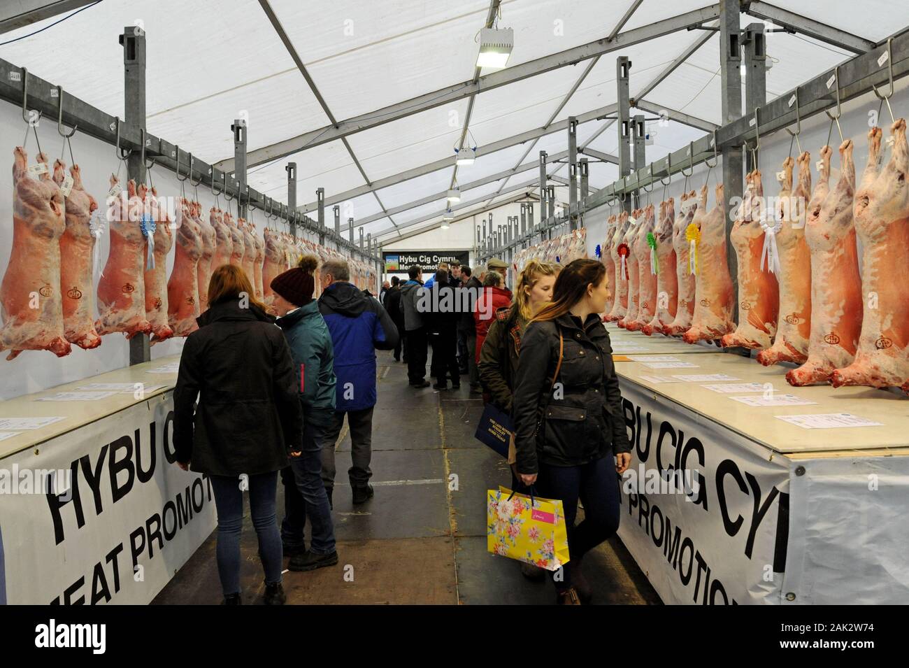 People studying the display of prize winning lamb carcasses at the ...