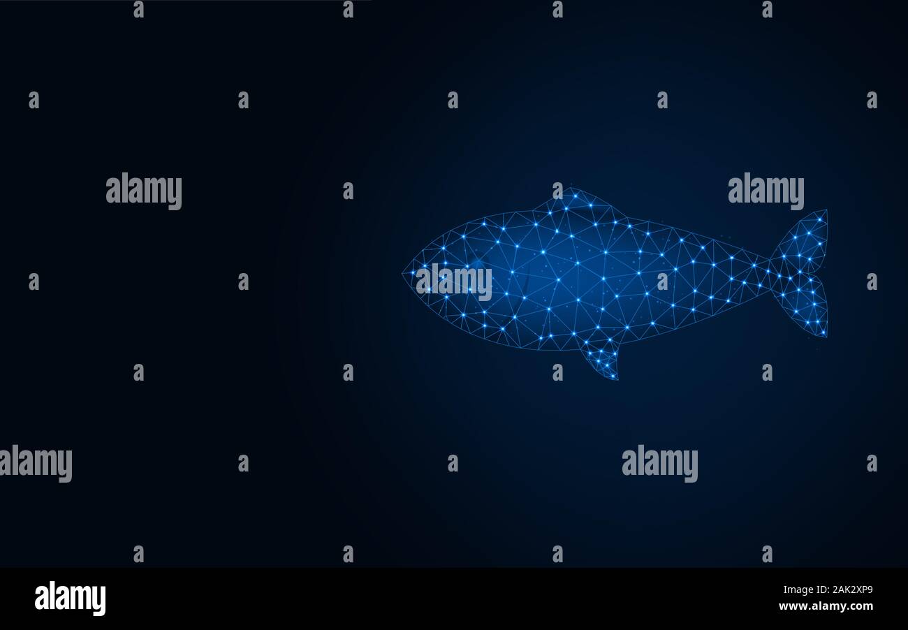 Fish low poly design, animal wireframe mesh polygonal vector ...