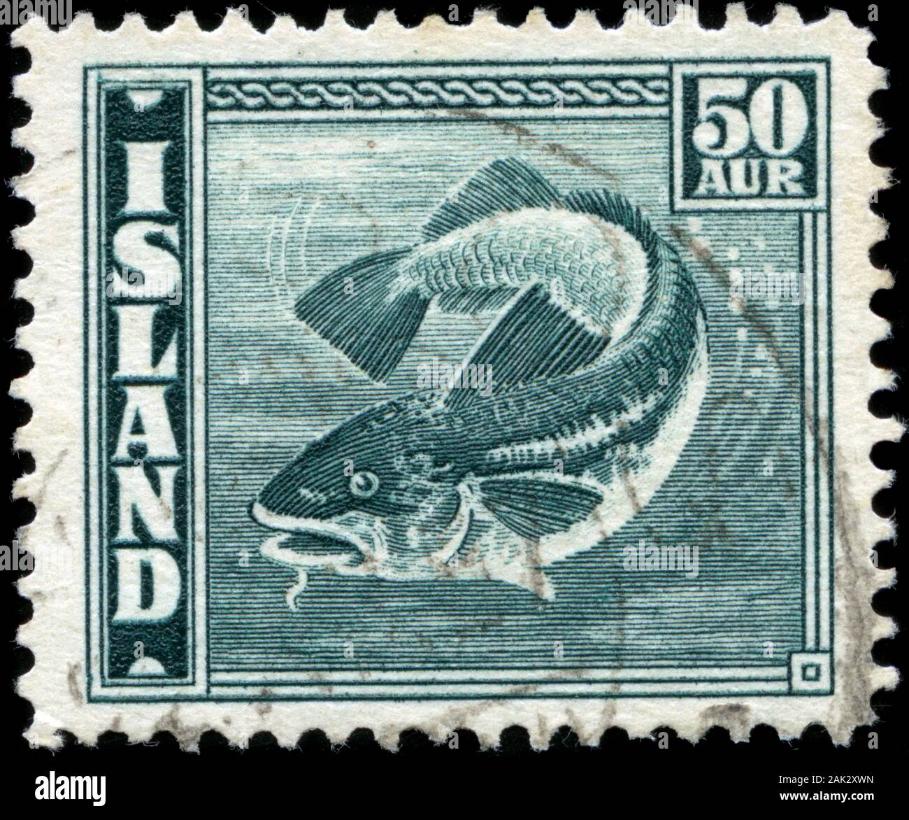 Atlantic Cod (Gadus morhua Stock Photo - Alamy