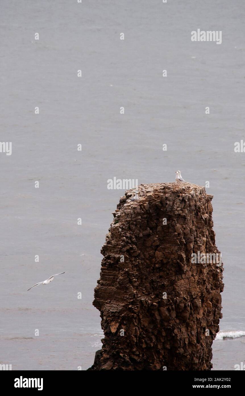 Sea stack from Whitburn Coastal Park Stock Photo - Alamy