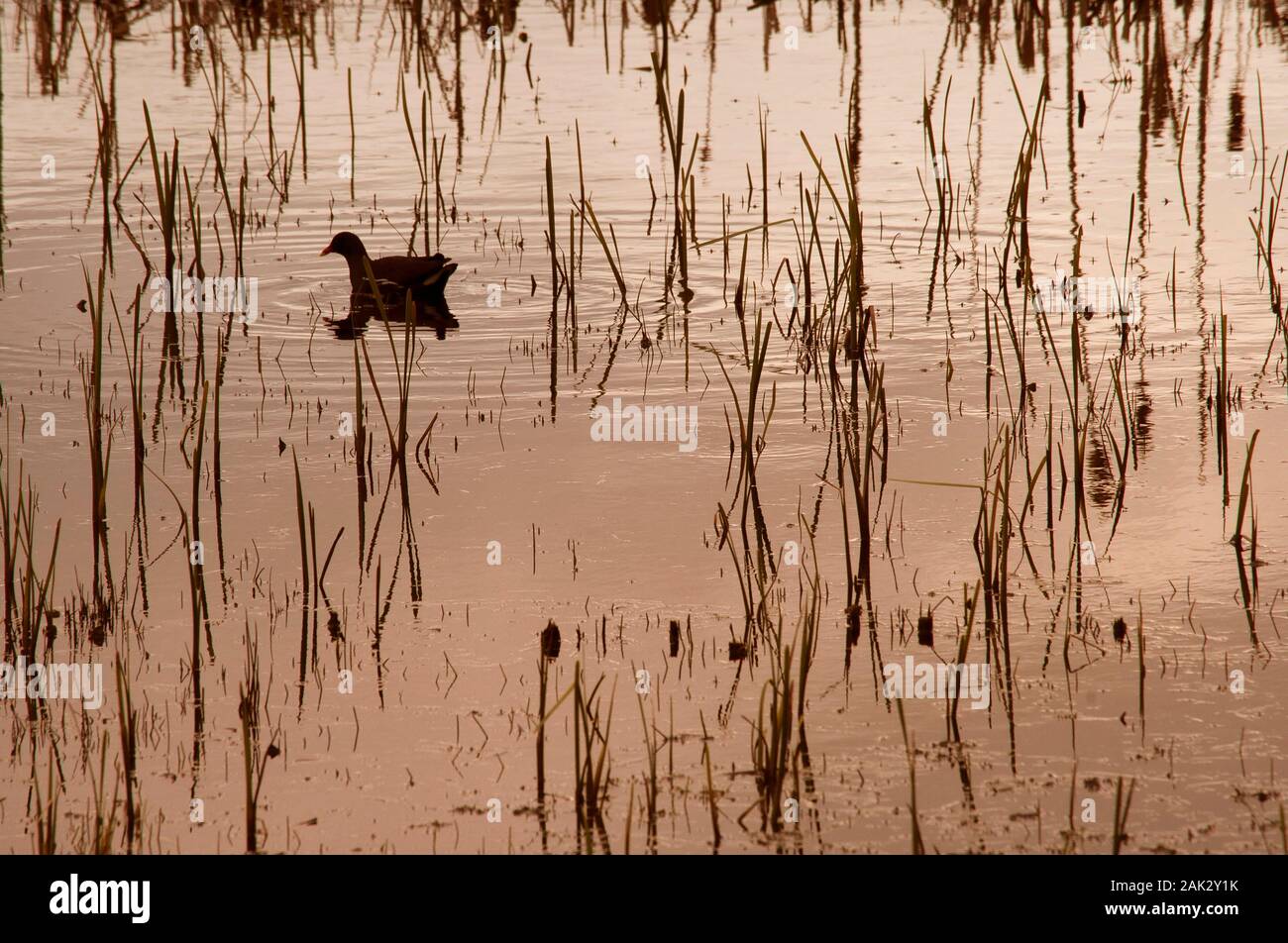 Whitburn seaside hi-res stock photography and images - Alamy