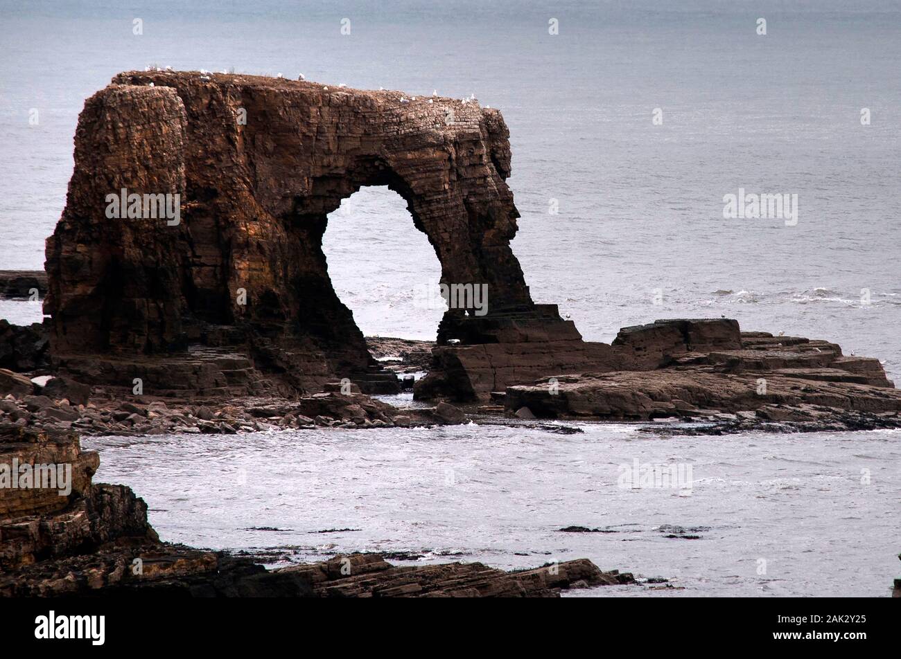 Whitburn marsden rock hi-res stock photography and images - Alamy