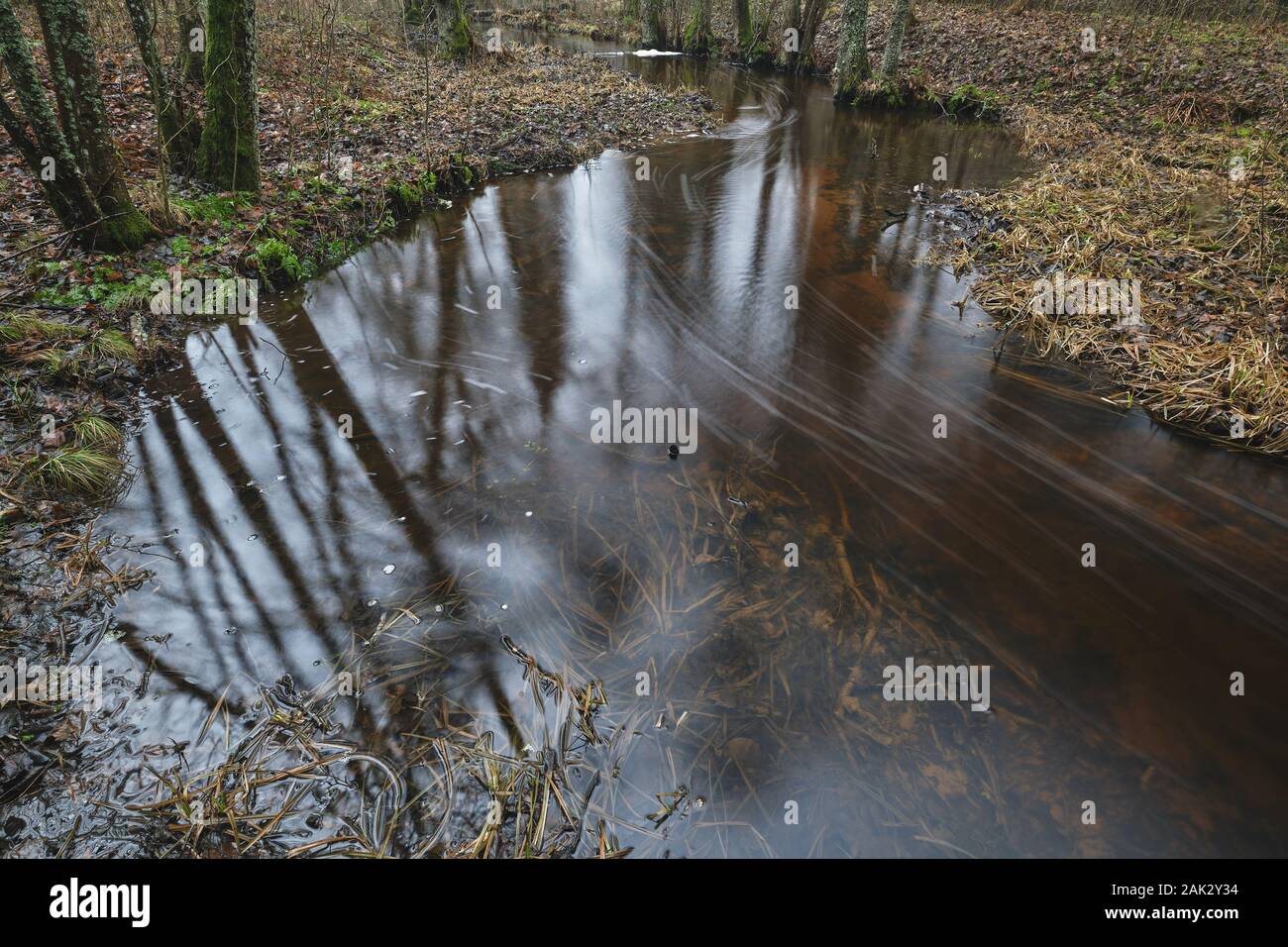 a stream in the forest with foam flowing along Stock Photo - Alamy