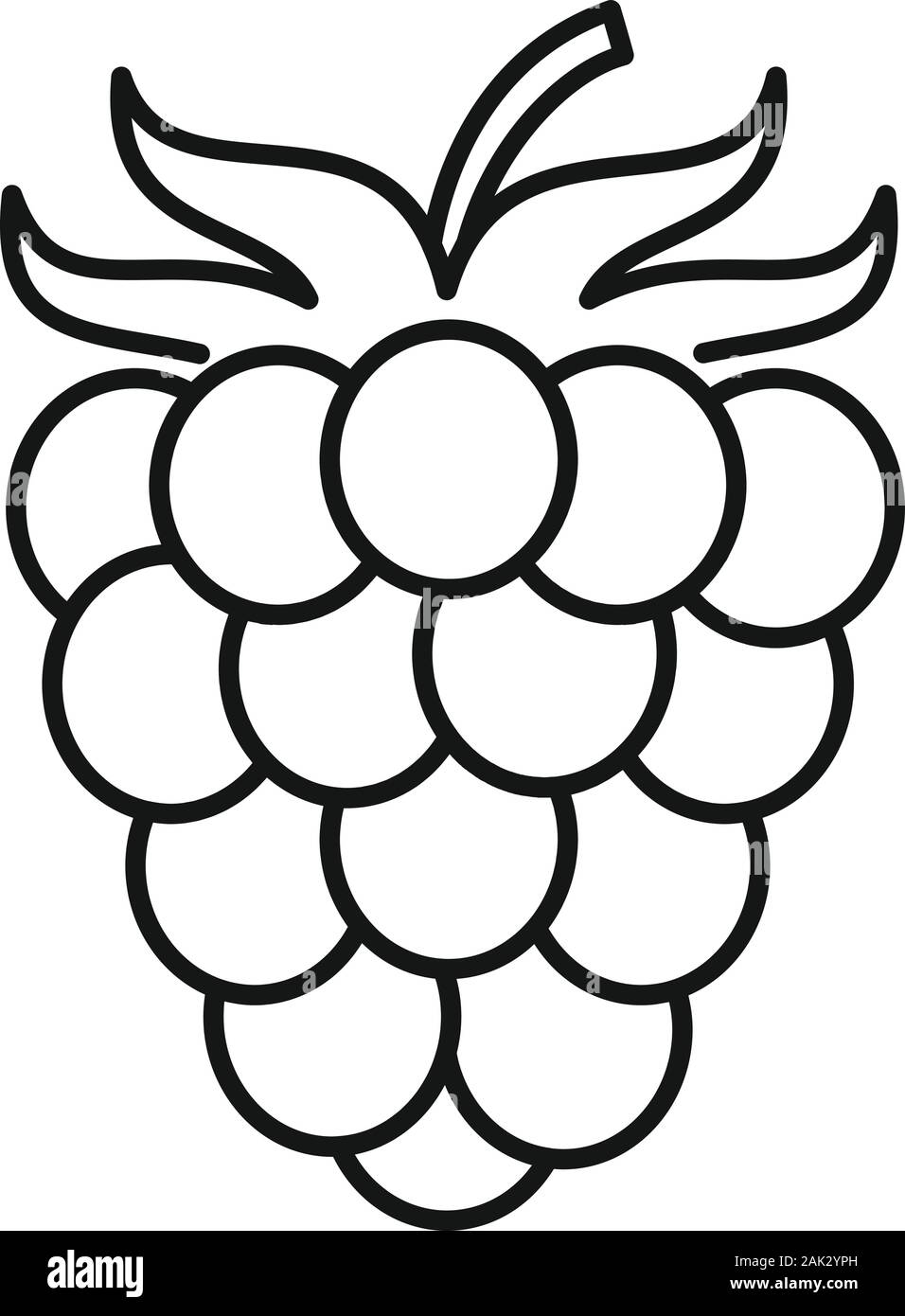 Raspberry Outline