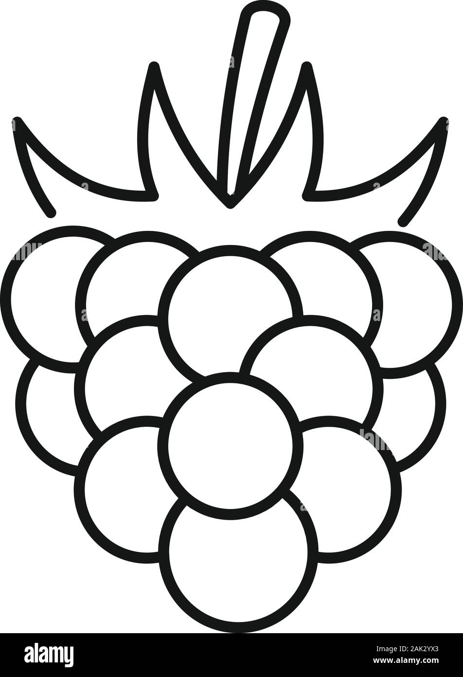 Raspberry Fruit Drawing