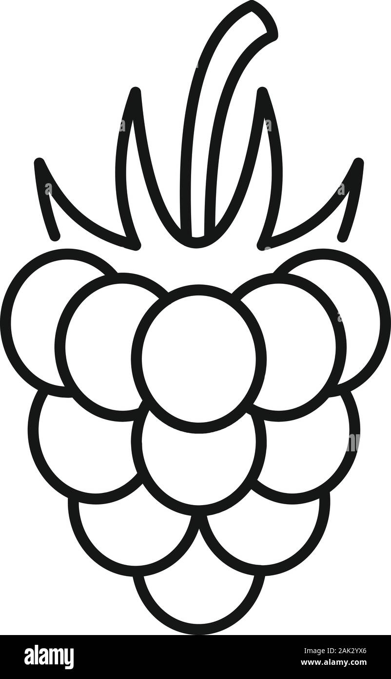 Natural raspberry icon. Outline natural raspberry vector icon for web ...