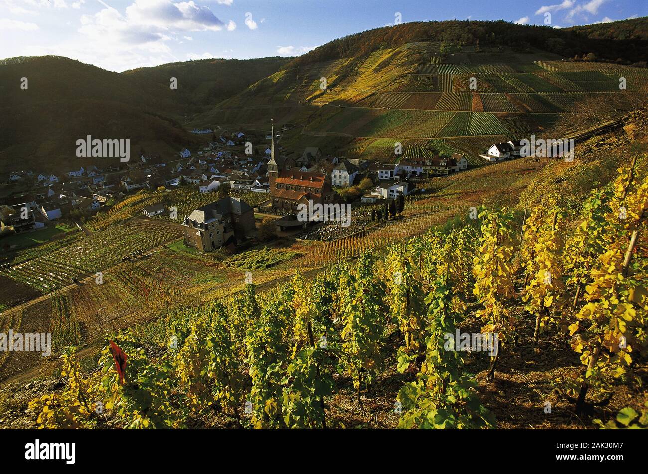 A look at Mayschoß from the red wine walk in Ahrtal, Germany. (undated ...