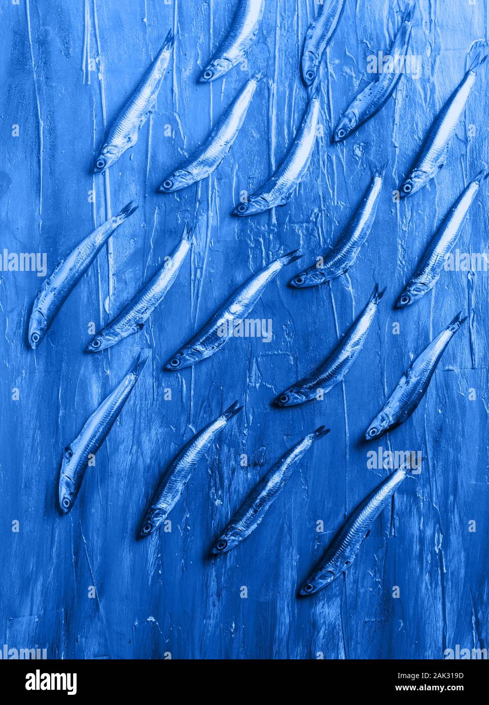 Fish pattern. Fresh anchovies on classic blue Stock Photo - Alamy