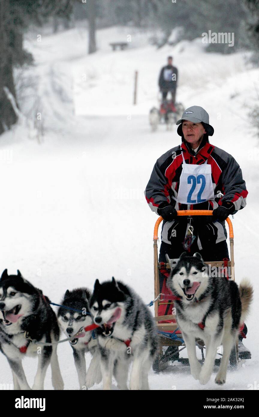 A competitor at the dog-sledding race in Neustadt at the Rennsteig ...