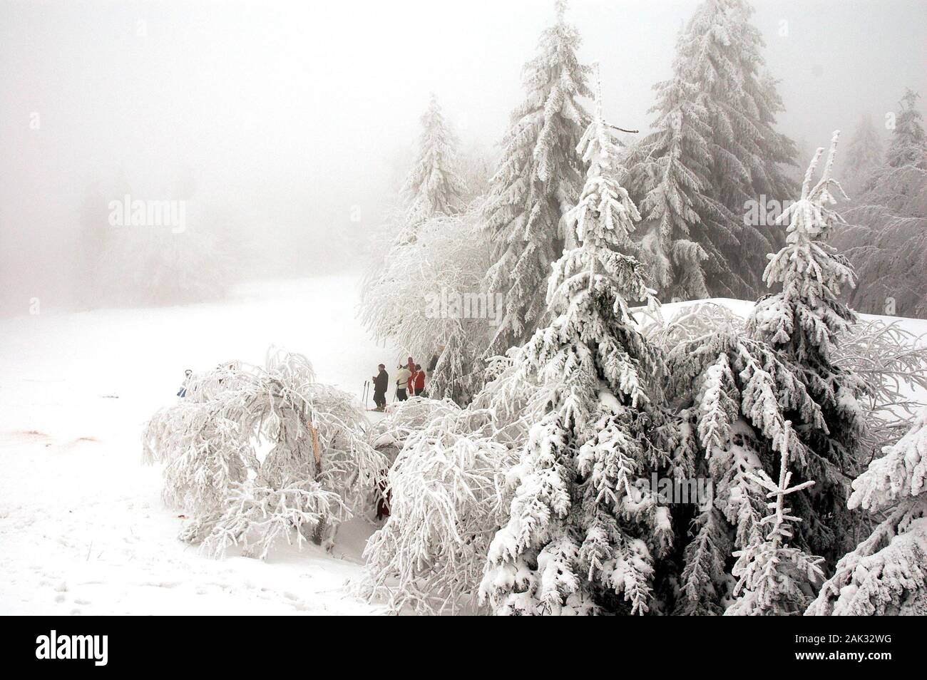 Snow covered winter landscape near Brotterode, Germany. (Undated ...