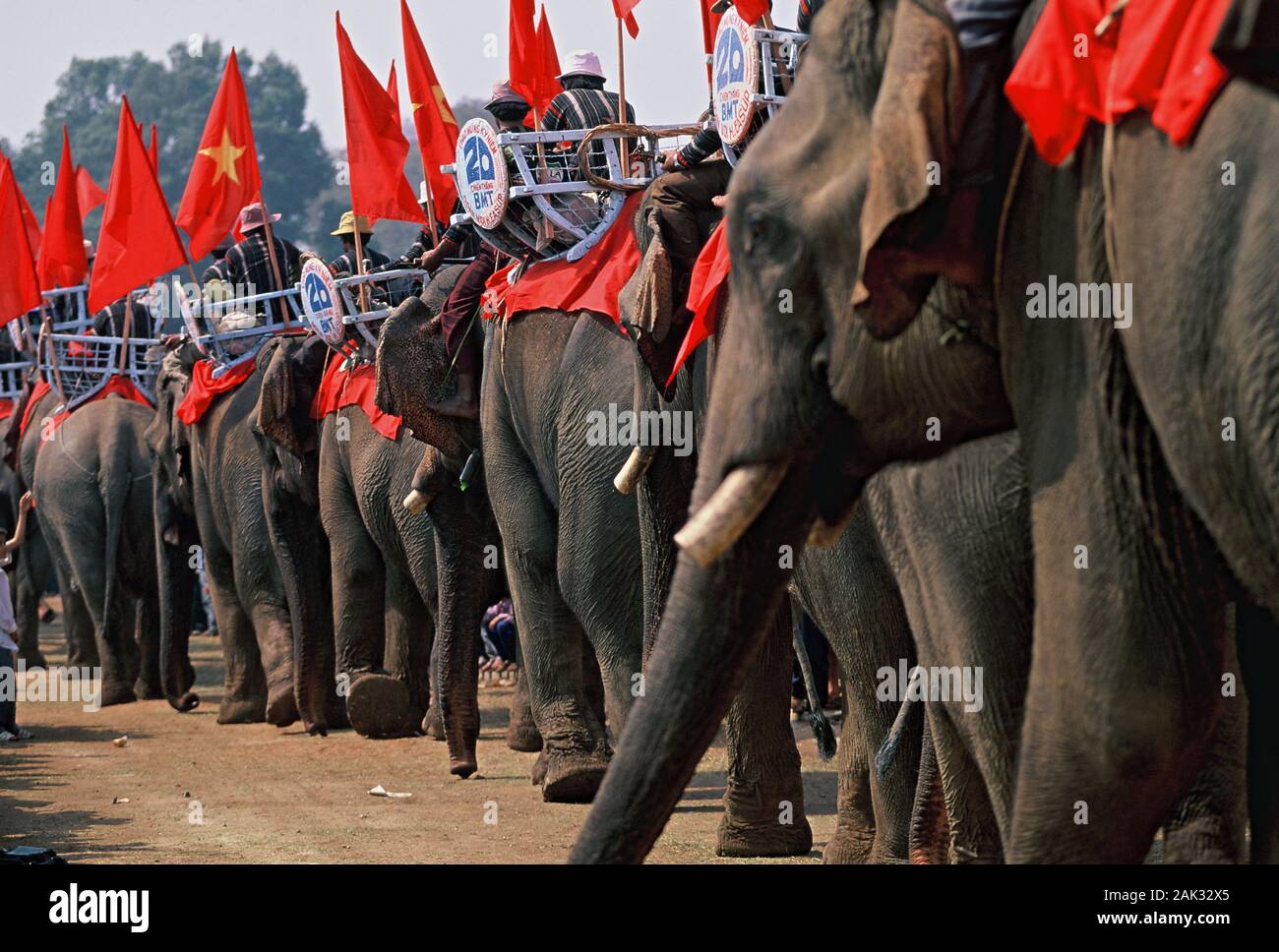 Vietnam war animals hi-res stock photography and images - Alamy