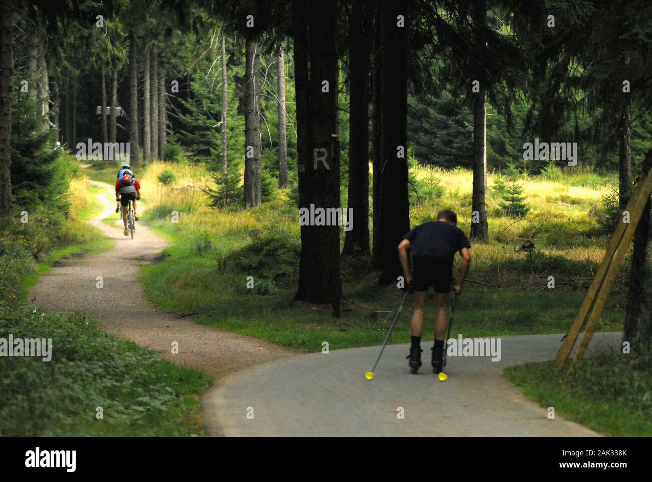 The Rennsteig in the Thuringian Forest, Germany, is an ideal area for ...